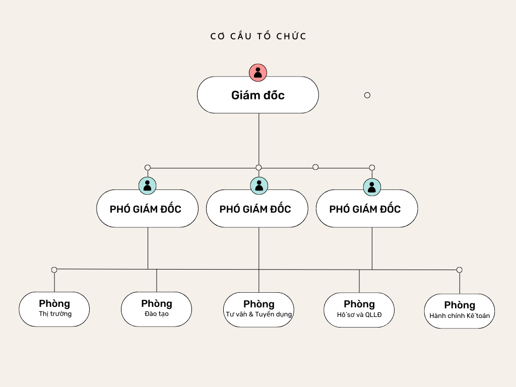 Cơ cấu tổ chức Công ty TNHH Quốc tế YUME